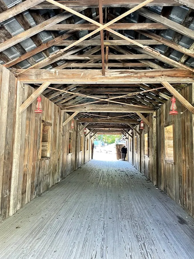 Walking through this covered bridge is like strolling through history's hallway. Mind the cobwebs; they're vintage!