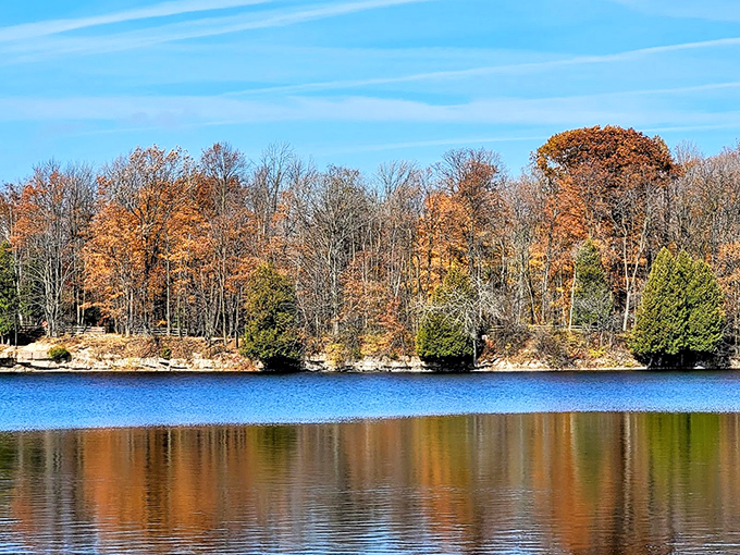 Where the forest meets the shore—it's like Mother Nature's perfect first date spot. Romantic walks and rock-skipping included!