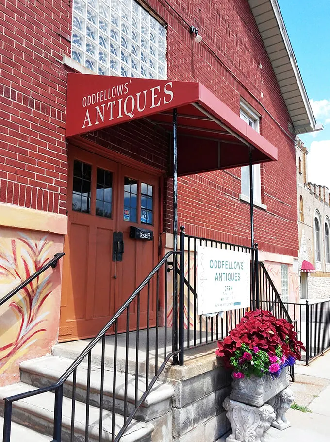 Oddfellows: where the unusual becomes irresistible. It's like your eccentric uncle's attic, but curated!