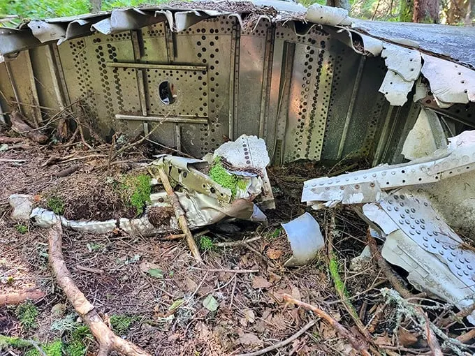Nature's slow-motion embrace of human history. These ruins are like a "Where Are They Now?" episode for abandoned machinery, starring Mother Nature as the makeover artist.