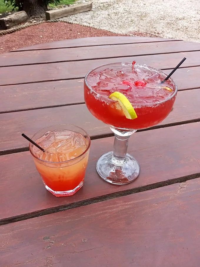Cheers to good times! These colorful cocktails are like liquid sunshine, perfect for sipping on a lazy Wisconsin afternoon.