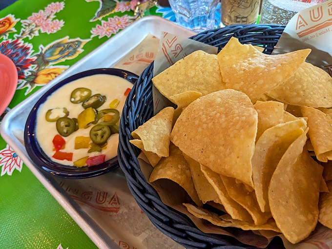 These aren't your average tortilla chips – they're crispy vehicles for that vibrant sauce studded with jalapeños and fresh vegetables. Photo credit: Tonya McNabb