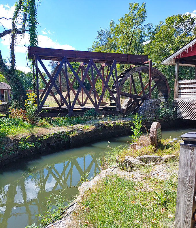 Perched like a crimson cardinal on the water's edge, this mill isn't just grinding grain—it's milling memories for generations to come.