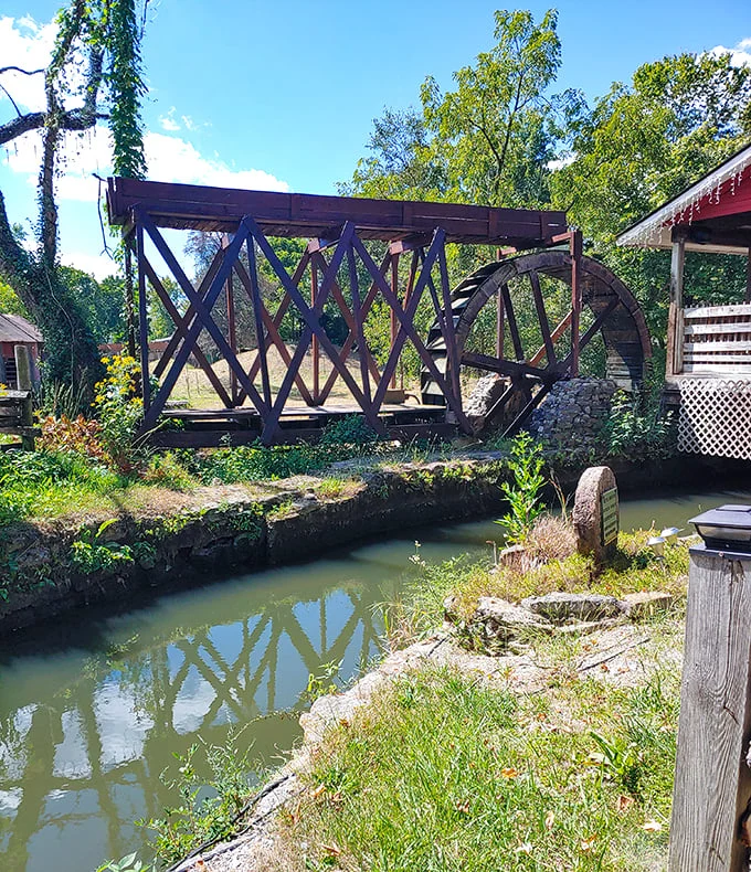 Perched like a crimson cardinal on the water's edge, this mill isn't just grinding grain—it's milling memories for generations to come.