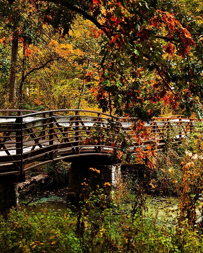 From spring blooms to autumn hues, this park never stops showing off. Nature's own fashion show, seasonally updated.