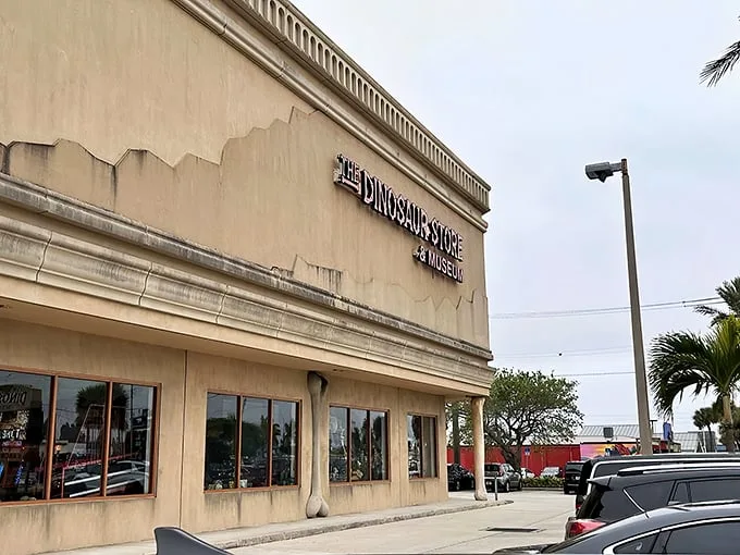 Welcome to Jurassic Park… er, The Dinosaur Store! This Cocoa Beach gem is where prehistory meets Florida sunshine.