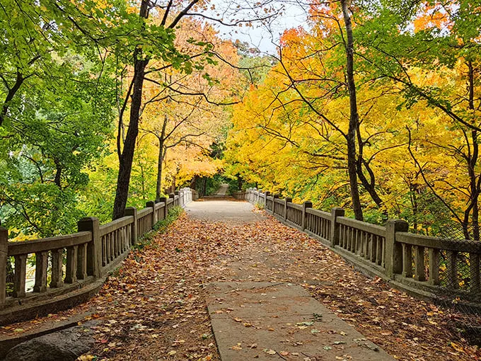Nature's grand entrance! Matthiessen State Park welcomes you with a trail so picturesque, it's like Mother Nature's own red carpet.
