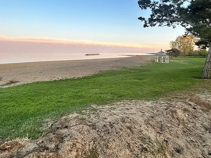 Nature's canvas unfolds: Where the prairie kisses the shore, Illinois Beach State Park offers a slice of coastal paradise in the heartland.