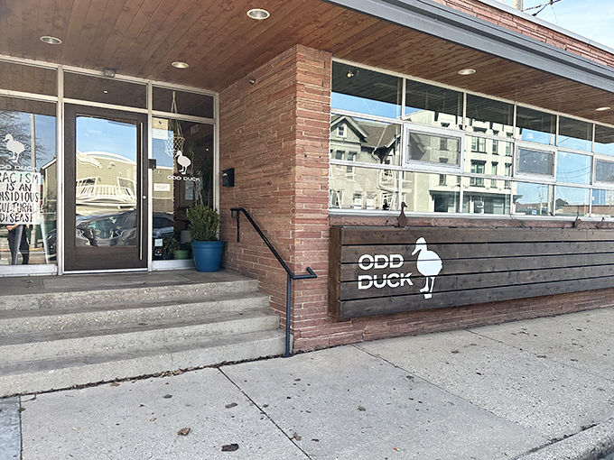 Welcome to duck paradise! The Odd Duck's exterior is a charming blend of rustic and modern, inviting you to waddle in for a culinary adventure.