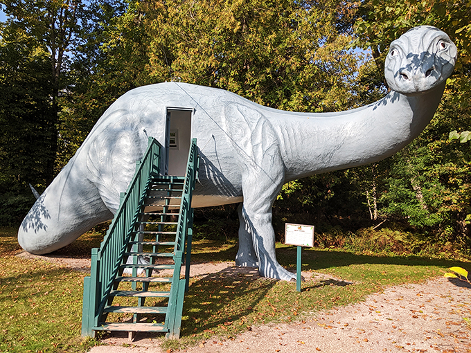 Welcome to the land before time! This gentle giant invites you to climb aboard for a prehistoric adventure.