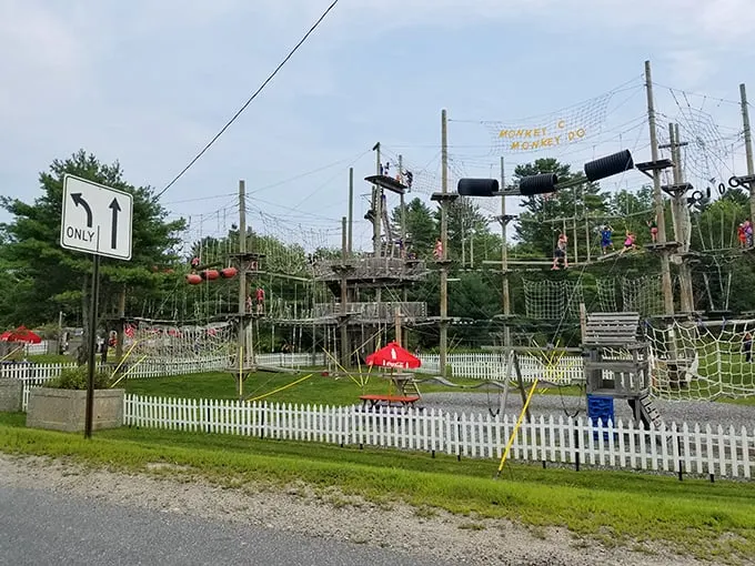 Welcome to the jungle gym of your dreams! Monkey C Monkey Do's obstacle courses are like a Tarzan movie come to life, minus the loincloth wardrobe malfunction risks.