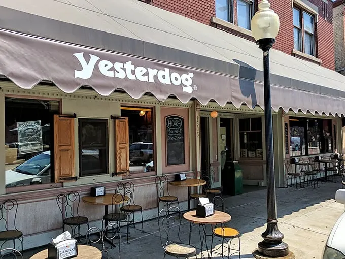 Step into a time warp! Yesterdog's vintage storefront is like a portal to the golden age of hot dogs and rock 'n' roll.