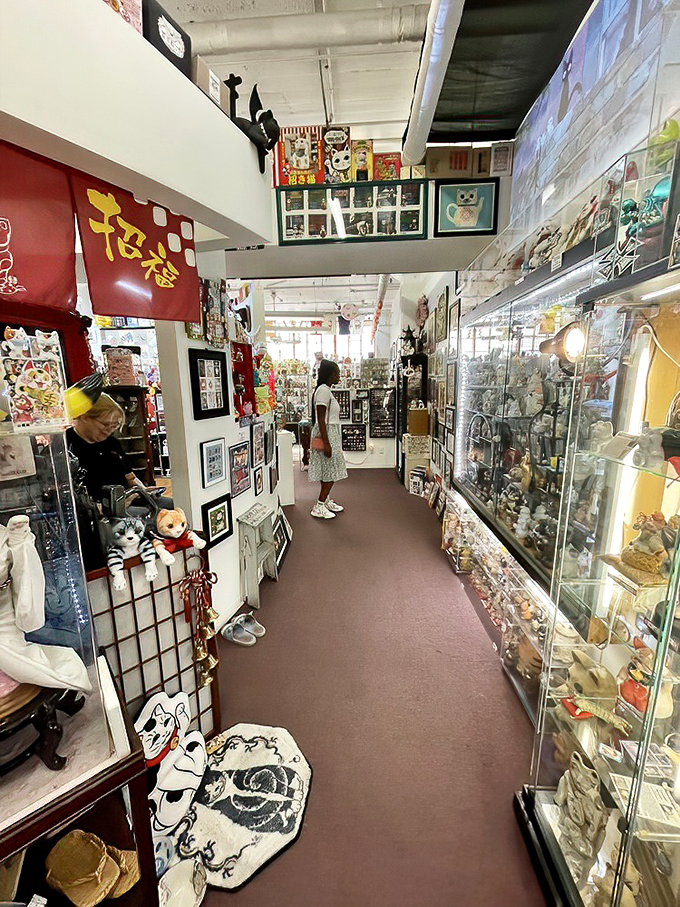 1. interior