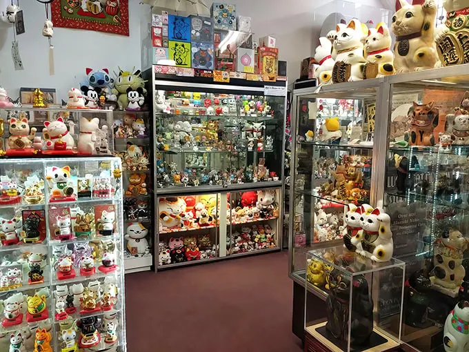Step into a feline wonderland! This narrow corridor is a cat lover's dream, packed with more lucky charms than a leprechaun's garage sale.