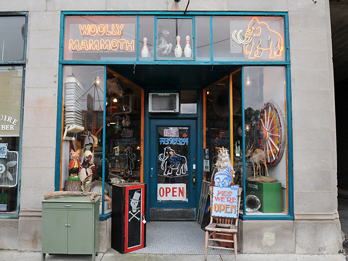 Step right up to the Woolly Mammoth, where curiosity meets chaos! This storefront is like a carnival funhouse for the delightfully bizarre.