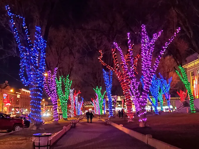A psychedelic forest of light! Prescott's Courthouse Plaza transforms into a kaleidoscopic wonderland that would make even Willy Wonka jealous. It's like someone sprinkled magic pixie dust on the entire town square.