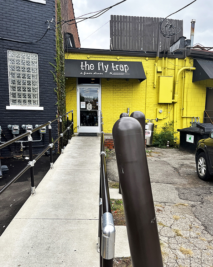 Yellow brick road? Nah, just the path to breakfast nirvana! The Fly Trap's vibrant exterior is like a beacon for hungry souls.