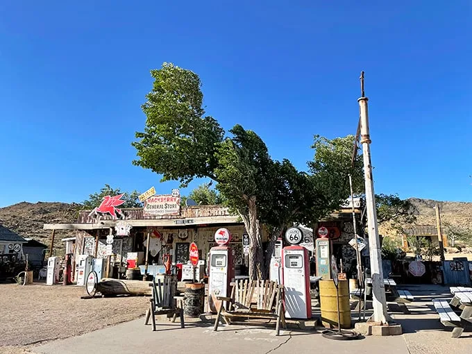 Welcome to the Hackberry General Store, where Route 66 nostalgia comes alive! This time capsule of Americana is like stepping into a road trip dream, complete with vintage gas pumps and a winged mascot.