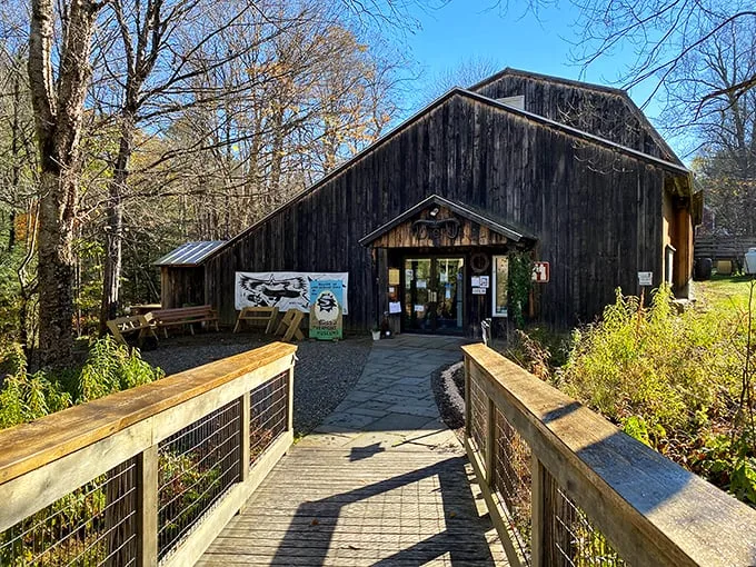 A rustic wooden walkway leads to nature's theater, where Vermont's feathered stars await their admirers behind barn-style doors.