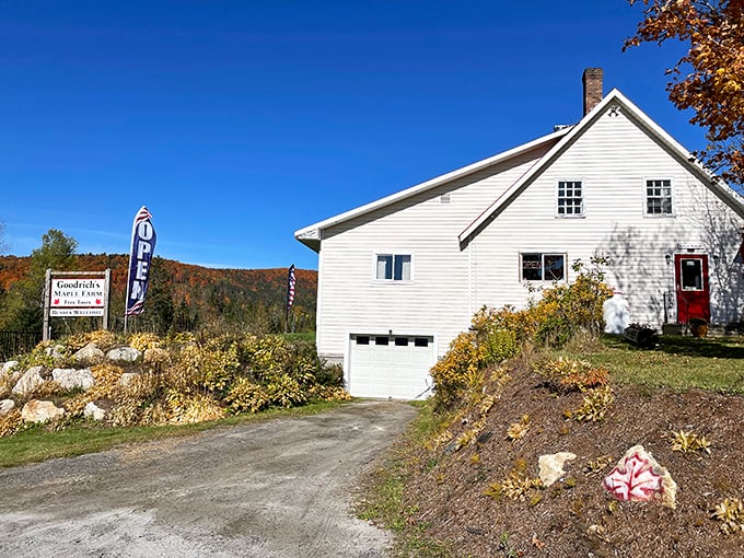 A postcard-perfect Vermont scene: Goodrich's Maple Farm stands proud against a backdrop of autumn-painted hills. It's like Mother Nature's own sugar shack!