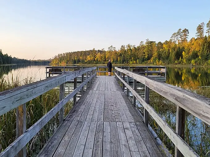 Nature's catwalk: A wooden boardwalk stretches into the distance, inviting you to strut your stuff among the pines and reflective waters.