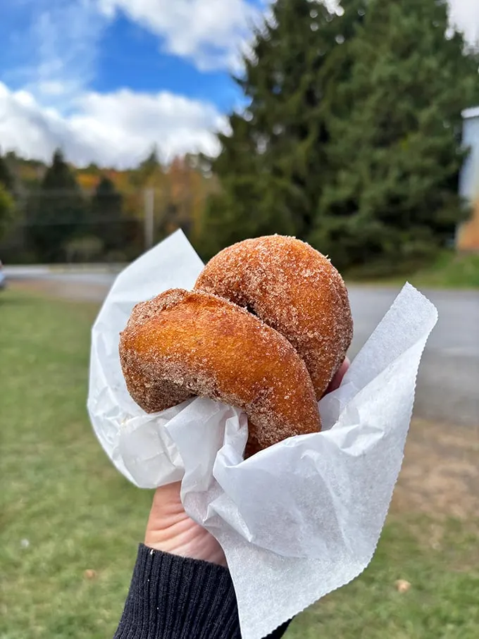 Warm, golden-brown, and dusted with cinnamon sugar – these donuts are autumn's answer to "What's for breakfast?"