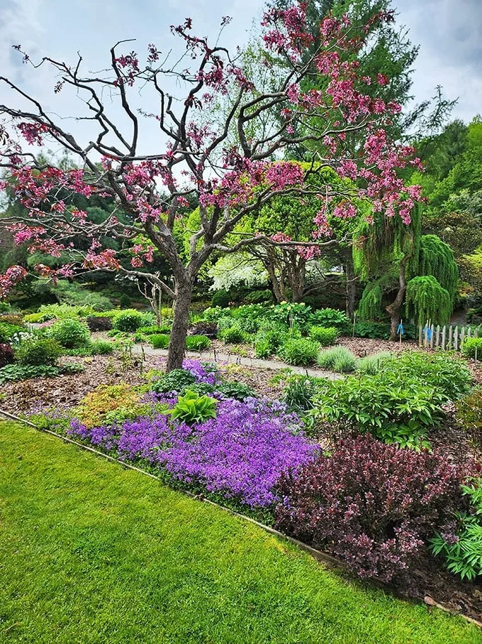 Nature's fireworks display! This explosion of color is like a Skittles commercial come to life – taste the rainbow, botanical edition.