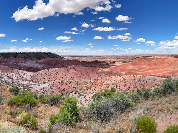 Journey to the land before time! This park is a colorful detour into Earth's distant past.