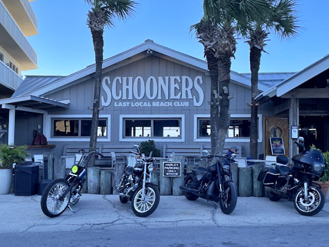 Schooners: Where bikers park their rides and seafood lovers park their appetites. Get ready for a taste adventure!
