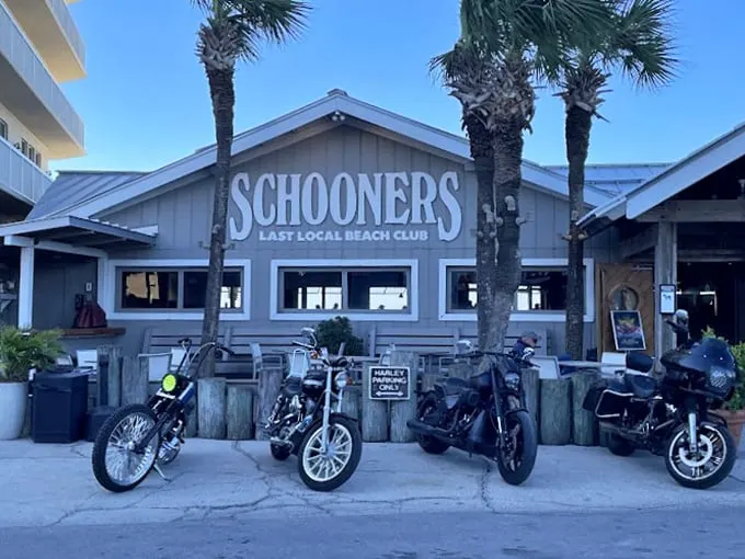 Schooners: Where bikers park their rides and seafood lovers park their appetites. Get ready for a taste adventure!