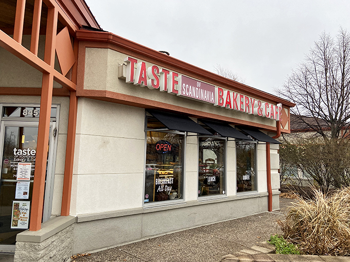 Nordic nosh nirvana! Where Minnesota meets Scandinavia in a delicious cultural mashup.