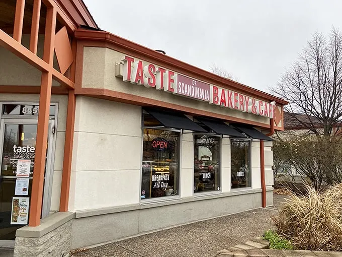 Nordic nosh nirvana! Where Minnesota meets Scandinavia in a delicious cultural mashup.