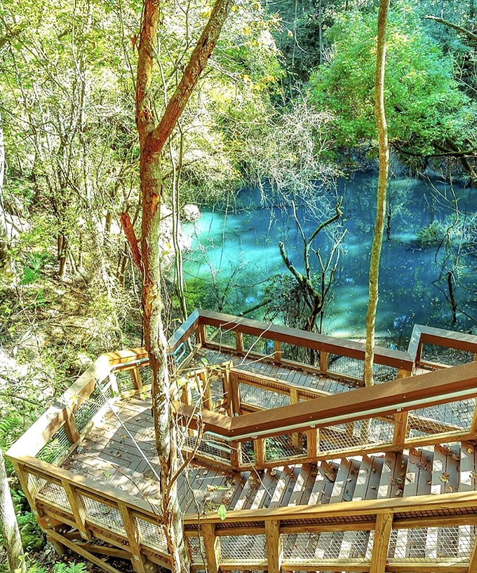 Shift gears from highway to stairway. This sinkhole paradise is Florida's natural answer to the Grand Canyon.
