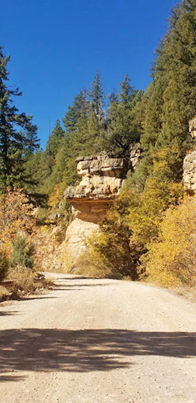 The road less traveled... because it's actually a hiking trail. Adventure awaits around every bend!