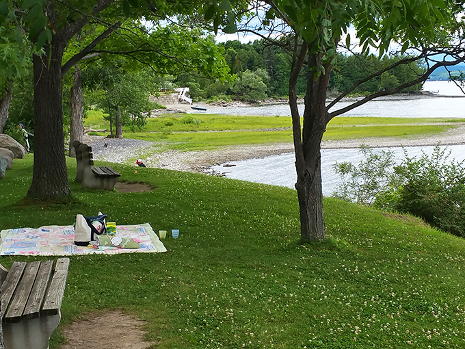 Spread out your feast and soak in the views. It's like dining al fresco, but with nature as your maître d'.