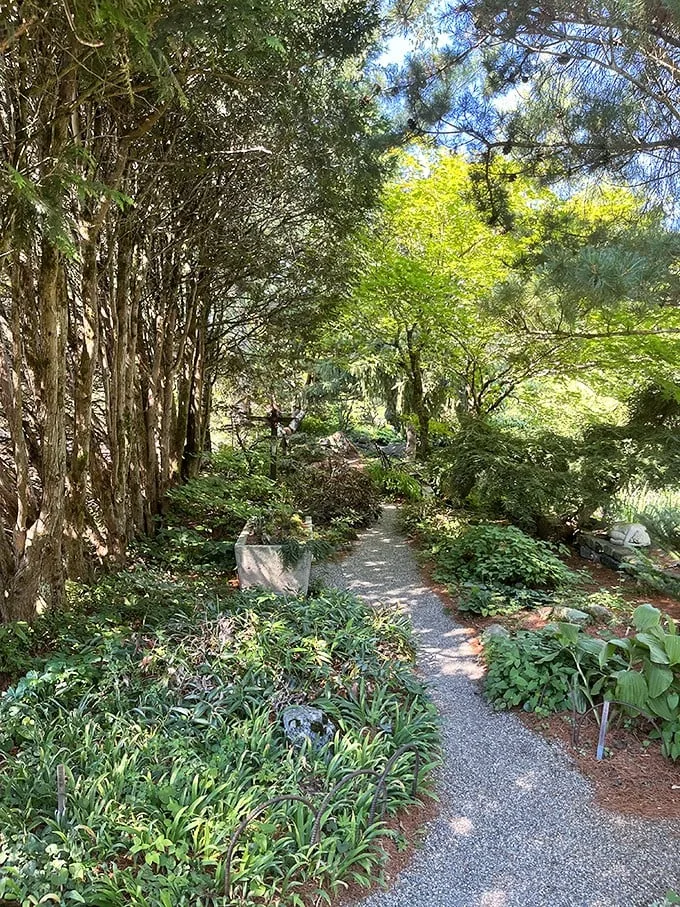 Follow the plant-brick road! This shady trail is perfect for wannabe woodland fairies or those just trying to escape the sun's enthusiasm.