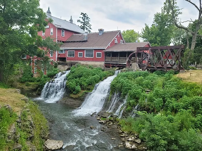 Clifton Gorge: where the Little Miami River shows off its wild side. Hold onto your hats (and your lunch)!