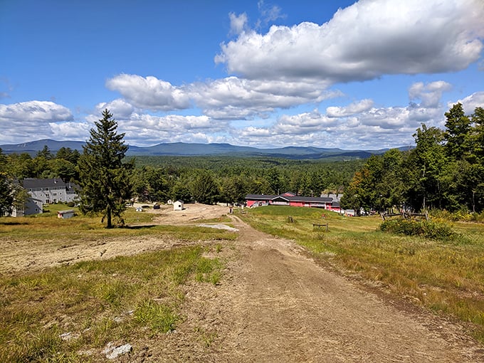 From the summit, you can see why they call it the Green Mountain State. Magic by name, magical by nature.