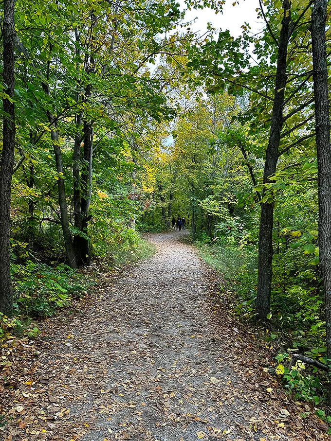 Maplewood's lake views: Serenity now, insanity later when you realize you have to leave this paradise.