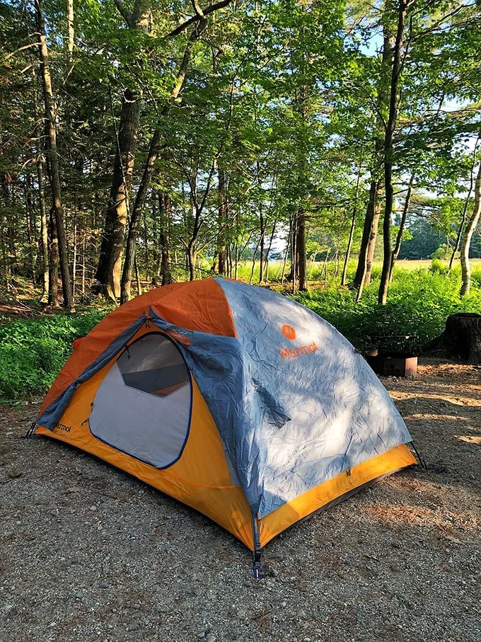 Camping with a view: Where your backyard is a forest and your alarm clock is a chorus of birdsong.