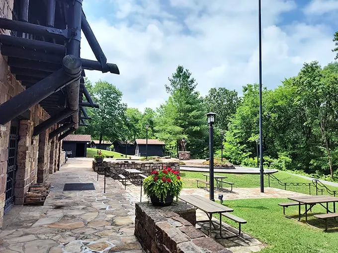 Picnic paradise! It's like your backyard patio, but with better views and a slight chance of bear encounters.