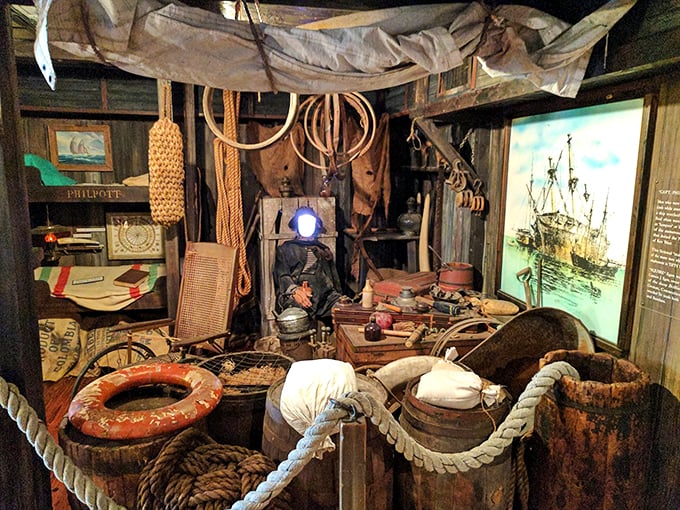 Welcome to the coziest shipwreck you'll ever see. This exhibit is packed tighter than a sailor's sea chest, but with way cooler stuff.