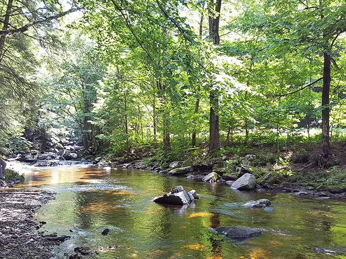 Who needs a spa day when you've got this tranquil stream? It's nature's own version of a sound machine – babbling brook setting: activated.