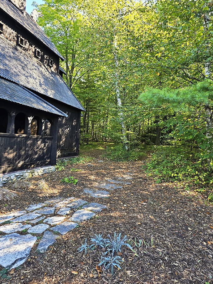 Nature's red carpet! This winding path through the woods feels like it's leading to a fairy tale ending – or at least a great photo op.