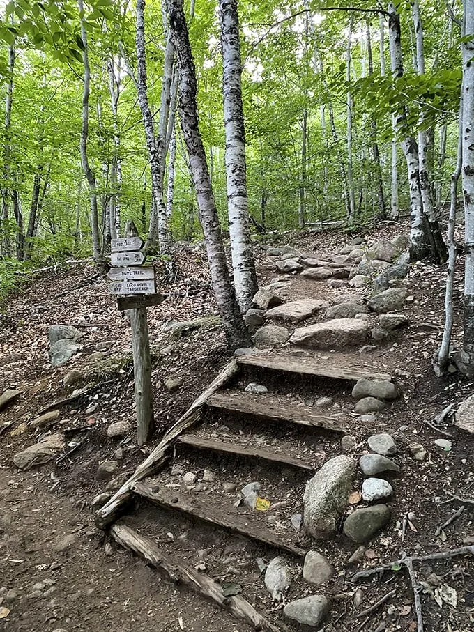 Iron rungs and narrow ledges: It's like a jungle gym for grown-ups with killer views.