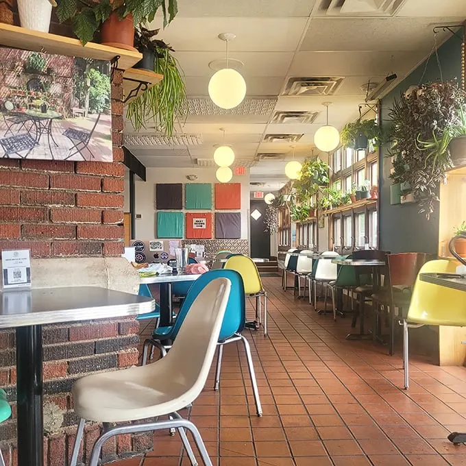 Mid-century modern meets millennial plant obsession. It's like your cool aunt's living room, but with better lighting and more kombucha.