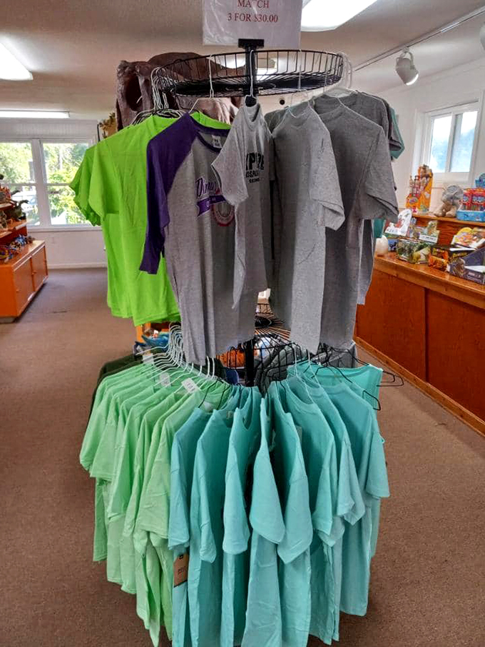 Dino-mite souvenirs! Take home a piece of prehistory from this charming gift shop. No fossil-hunting required!