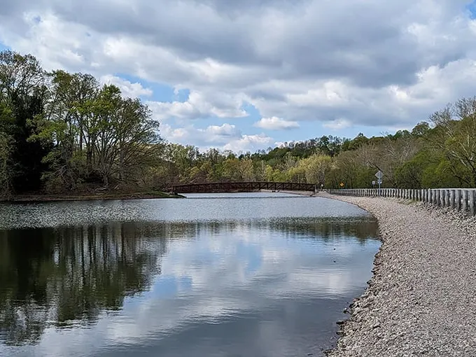 Road trip dessert: Lake Alma's sweet shores are the perfect final stop on your watery wanderings.