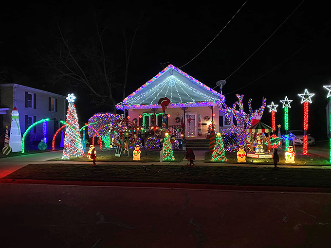Princeton's Festival of Trees: Where every evergreen is ready for its close-up!