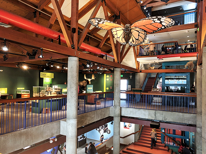 Look up – way up! The museum's interior is a feast for the eyes, where even the ceiling tells a scientific story.